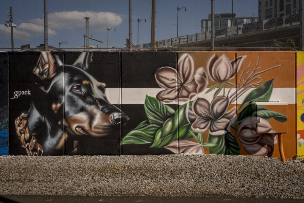 Murals - NoMa BID