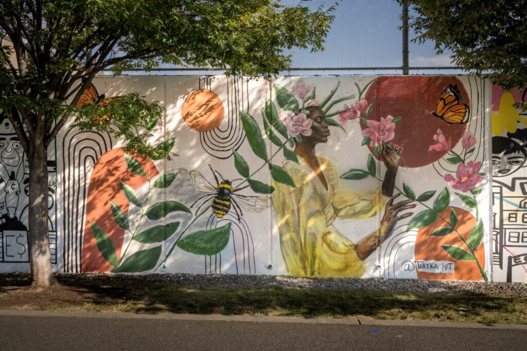 Murals - NoMa BID
